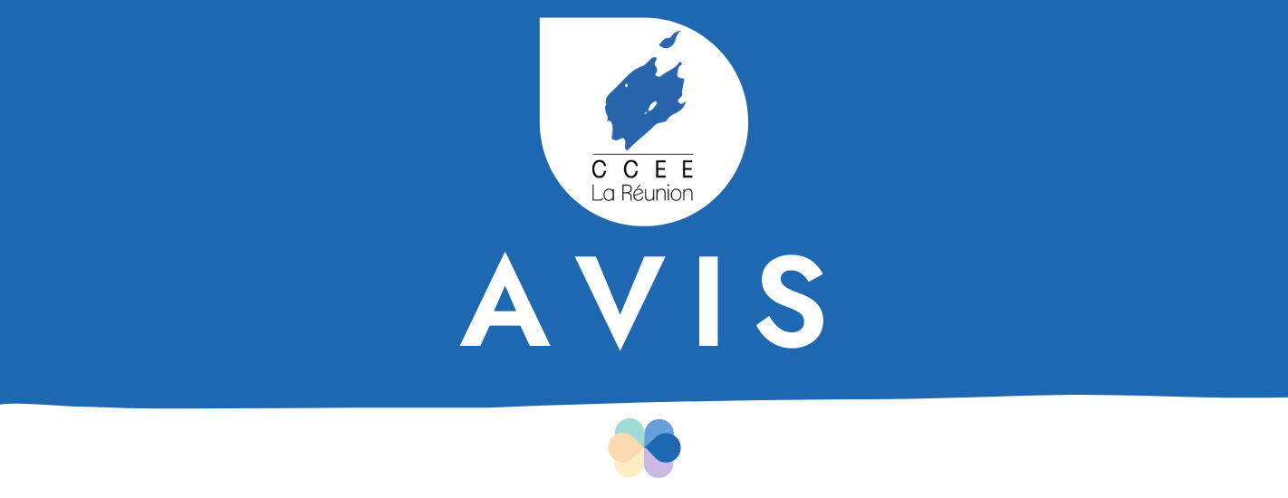 Réflexions et préconisations du CCEE en vue des orientations ...